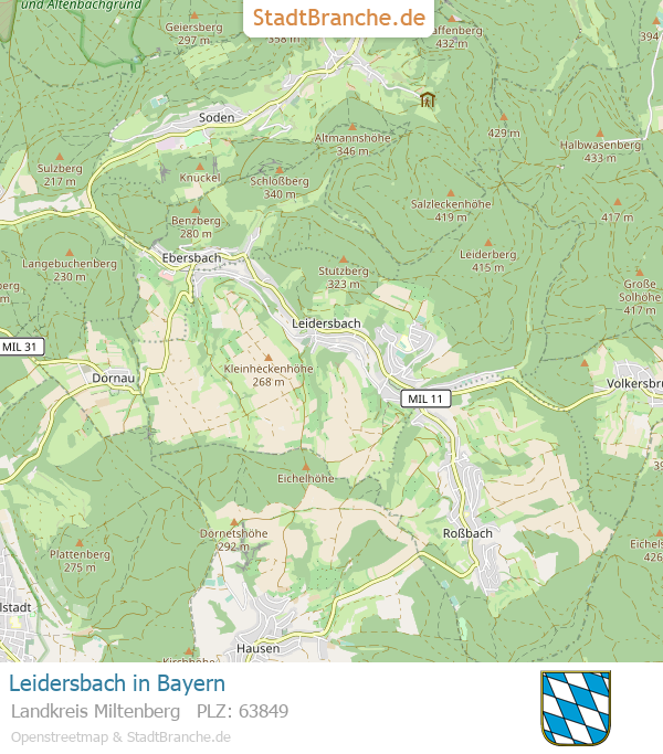 Aktion Sorgenkatzen e.V. Katzen Leidersbach